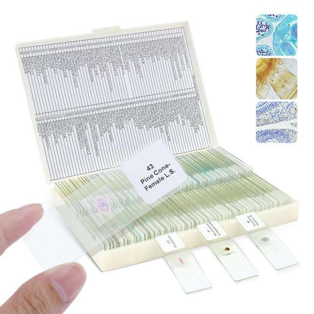 LAKWAR 120PCs Prepared Microscope Slides for Kids and Adults, STEM ...