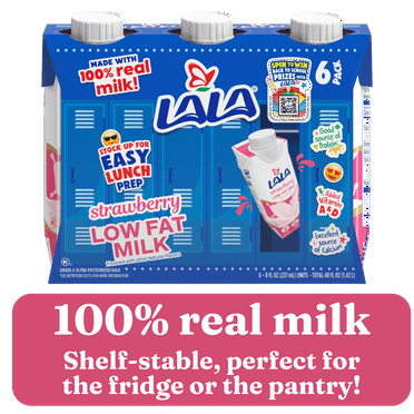 El Viajero Bio Salud Strawberry Cultured Dairy Beverage, 2.1 fl oz, 6 ...