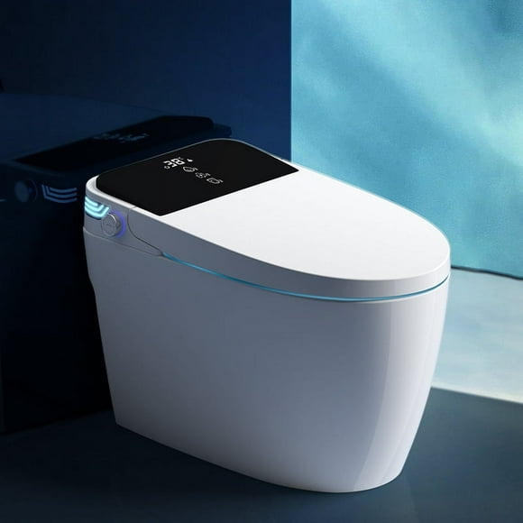 Japanese Smart Toilet