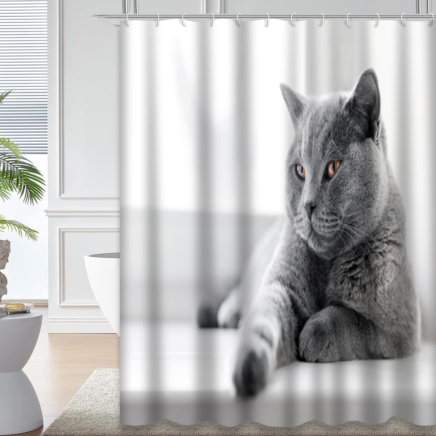 LALILO Blue Gray Grey Waterproof Shower Curtain,Cat British with Blue ...
