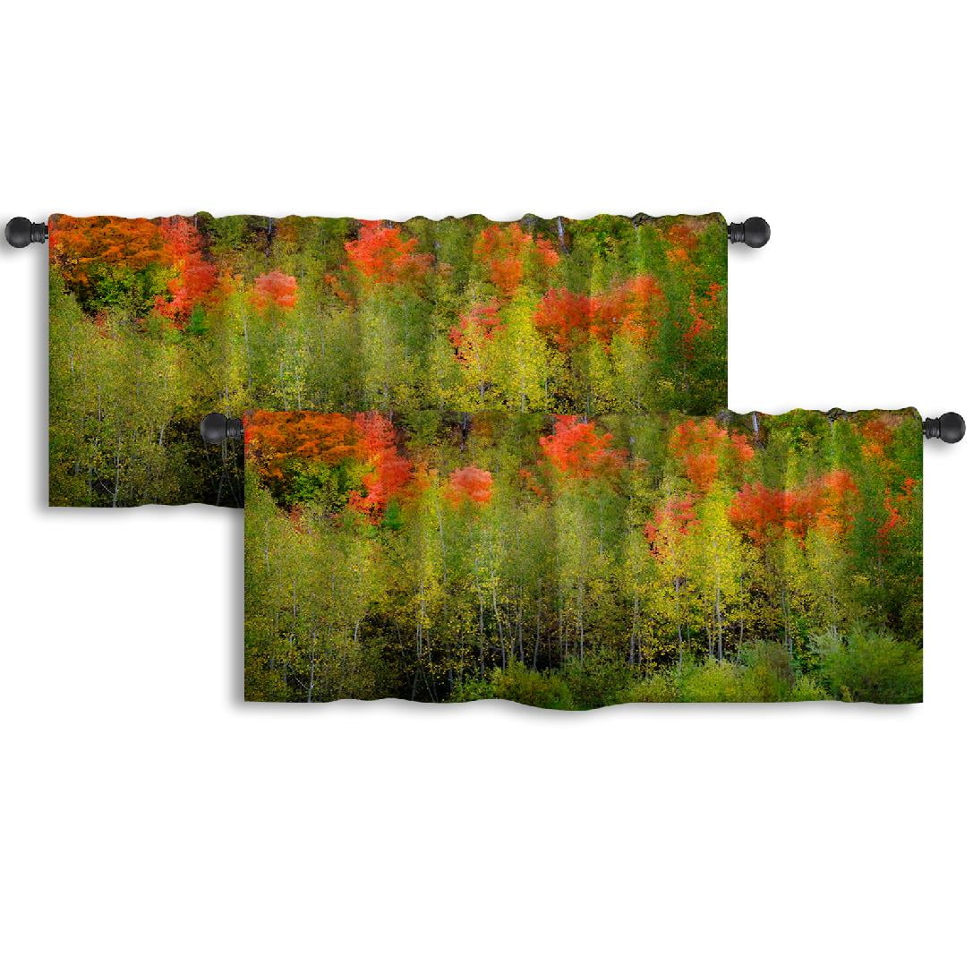 LALILO Kitchen Curtain Valance Autumn Fall Birch Rod Pocket Window ...