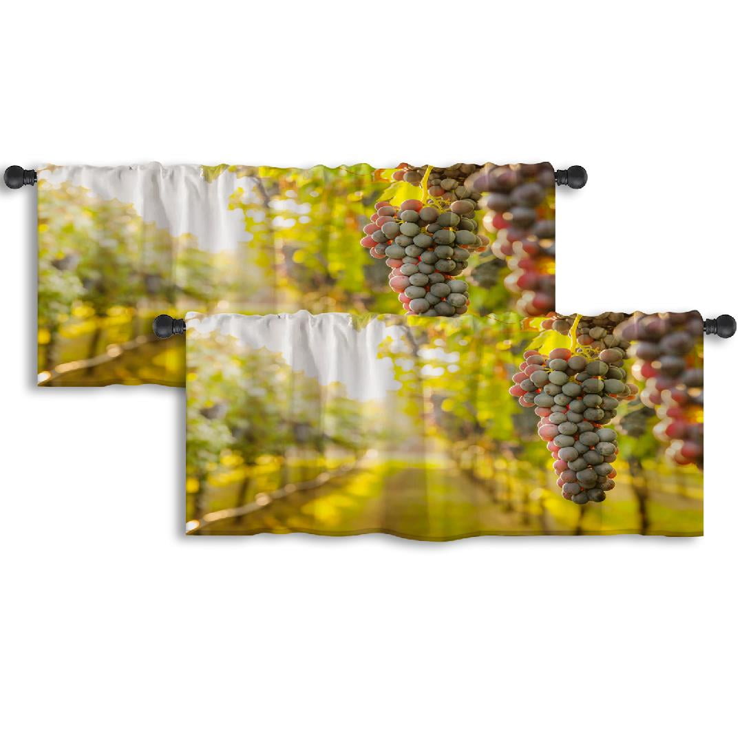 LALILO Kitchen Curtain Valance Grape Harvest Winery Grape Rod Pocket ...