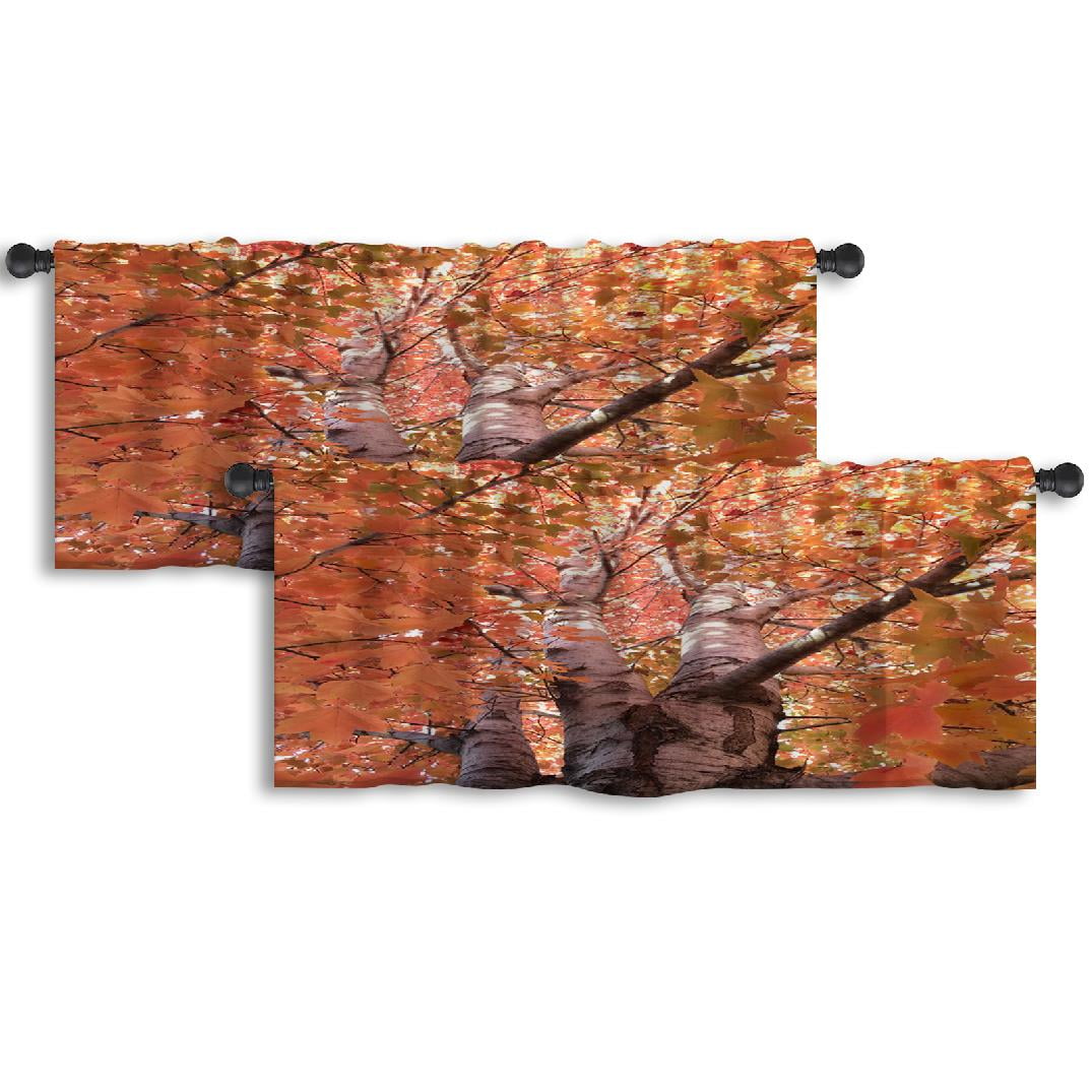 LALILO Kitchen Curtain Valance Maple Tree Full Fall Color Rod Pocket ...