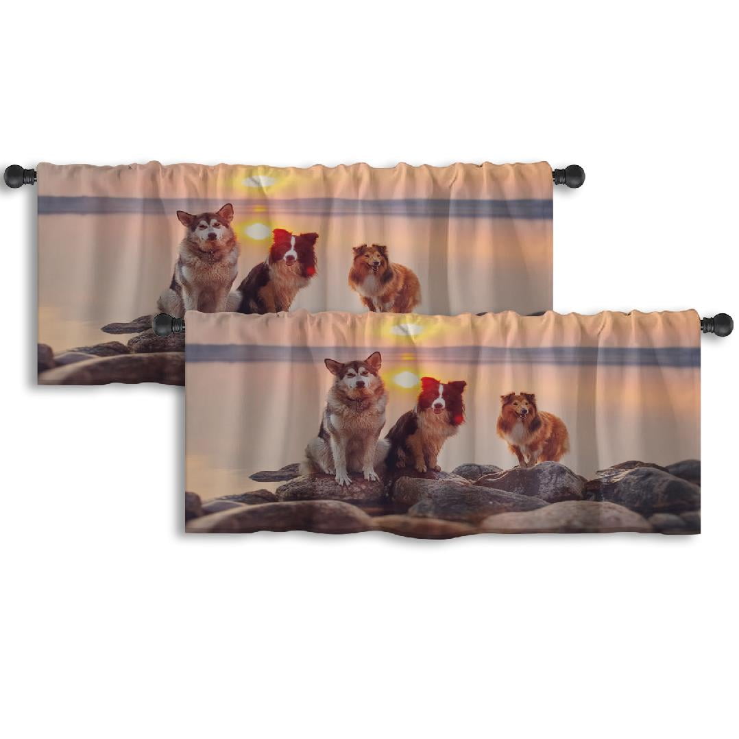 LALILO Kitchen Curtain Valance Three Dogs Sit Rocks Beach Dog Rod ...