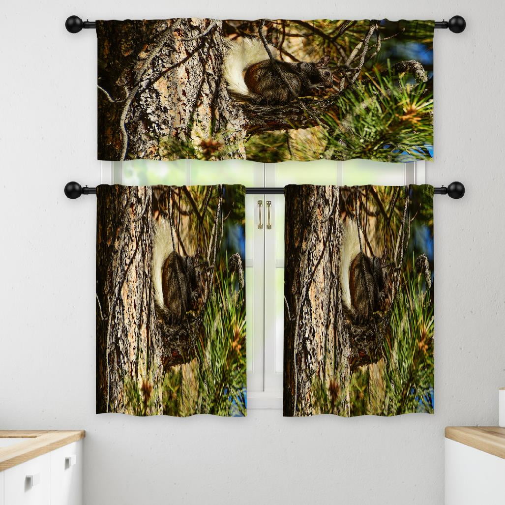 LALILO Kitchen Curtains and Valances Set of 3 36" Squirrel Window ...