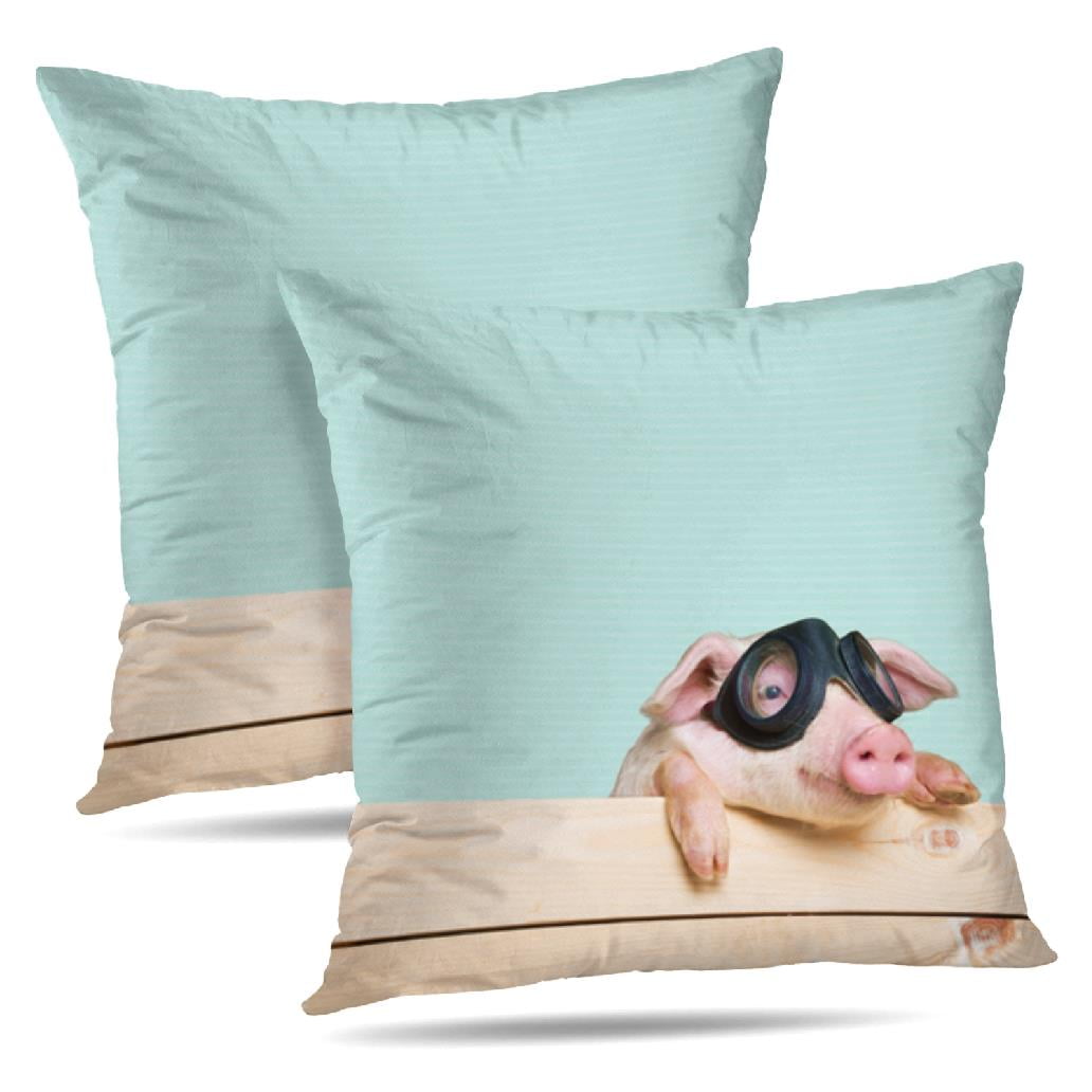 LALILO Throw Pillow Covers Animals Pig Piglet With Flying Goggles ...