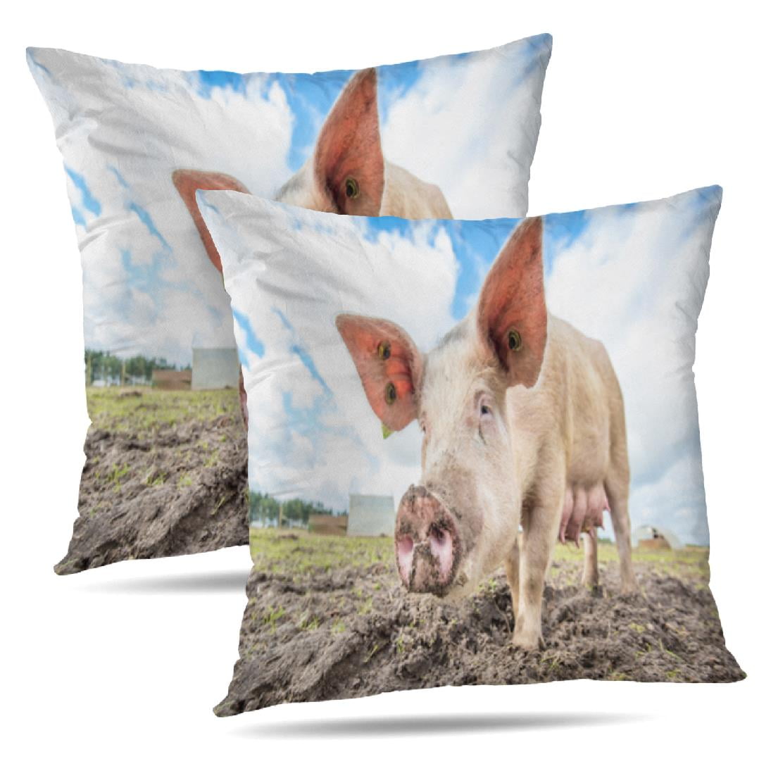 LALILO Throw Pillow Covers Happy Farm Uk Pig Farm Agriculture Cushion ...