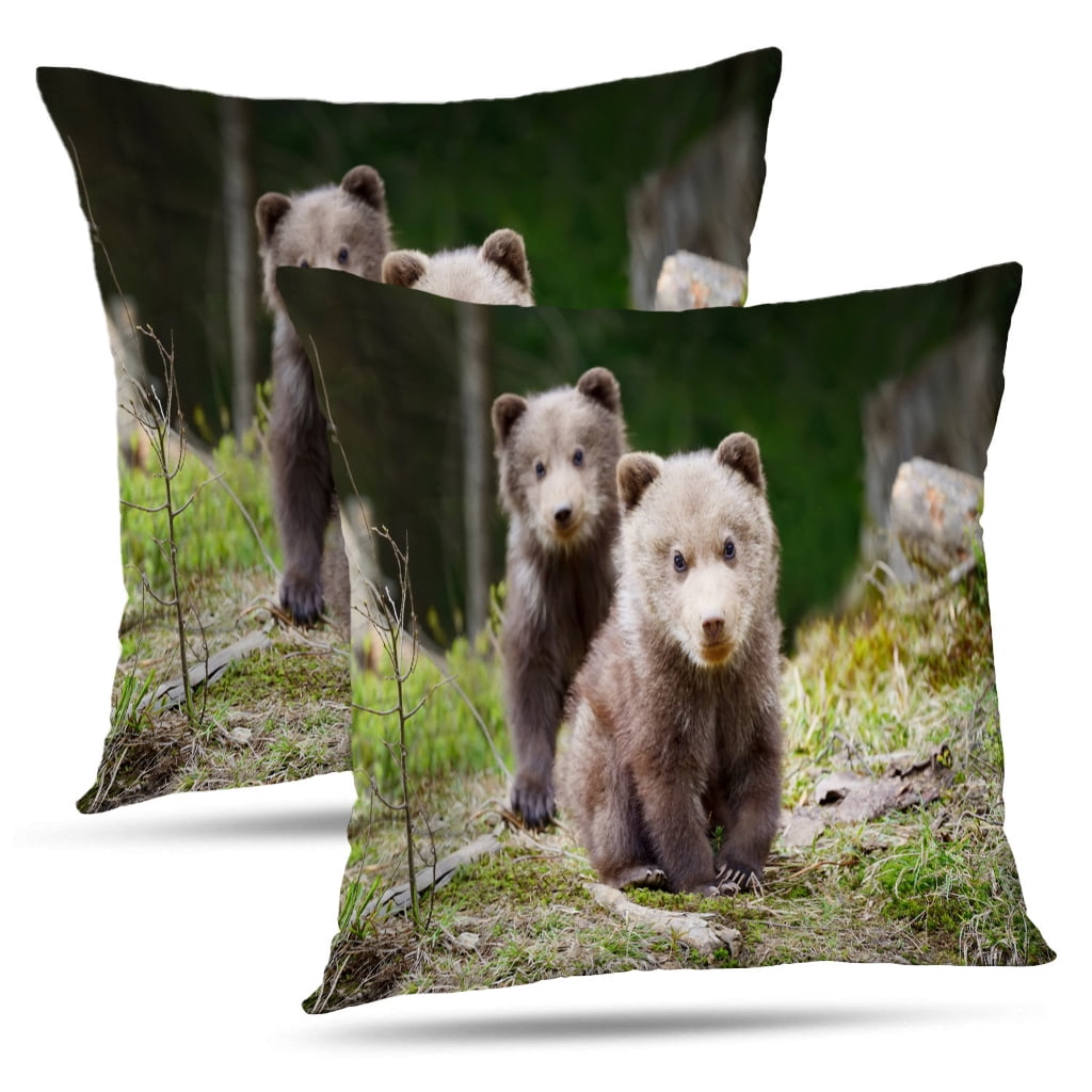 LALILO Throw Pillow Covers Wild Brown Bear Baby Bear Animal Adorable ...
