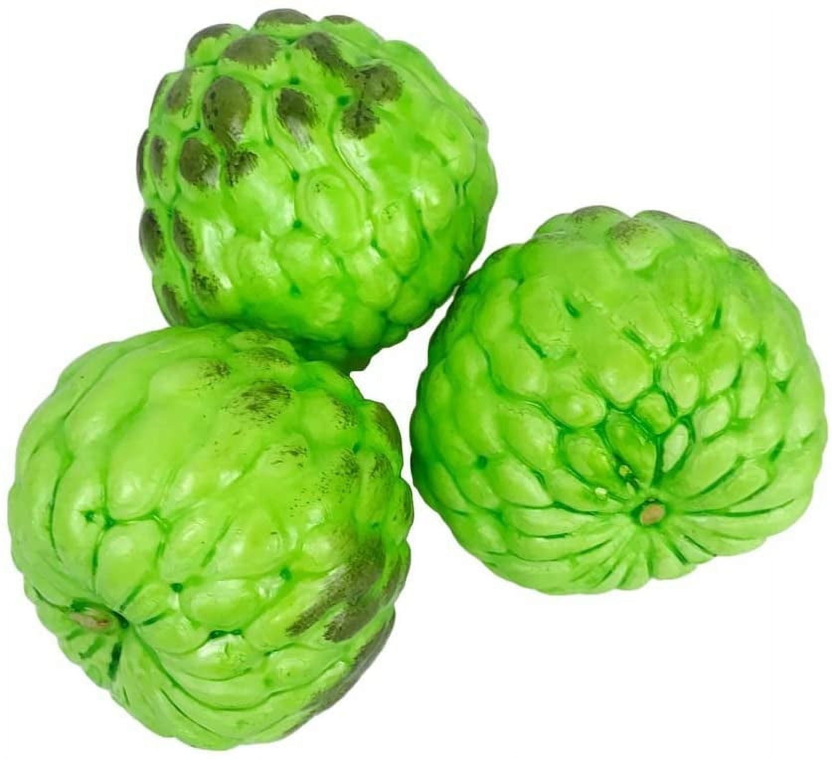 LAMIRO 3 Pcs Artificial Tropical Fruit Cherimoya Sweetsop Annona ...