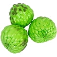 LAMIRO 3 Pcs Artificial Tropical Fruit Cherimoya Sweetsop Annona ...