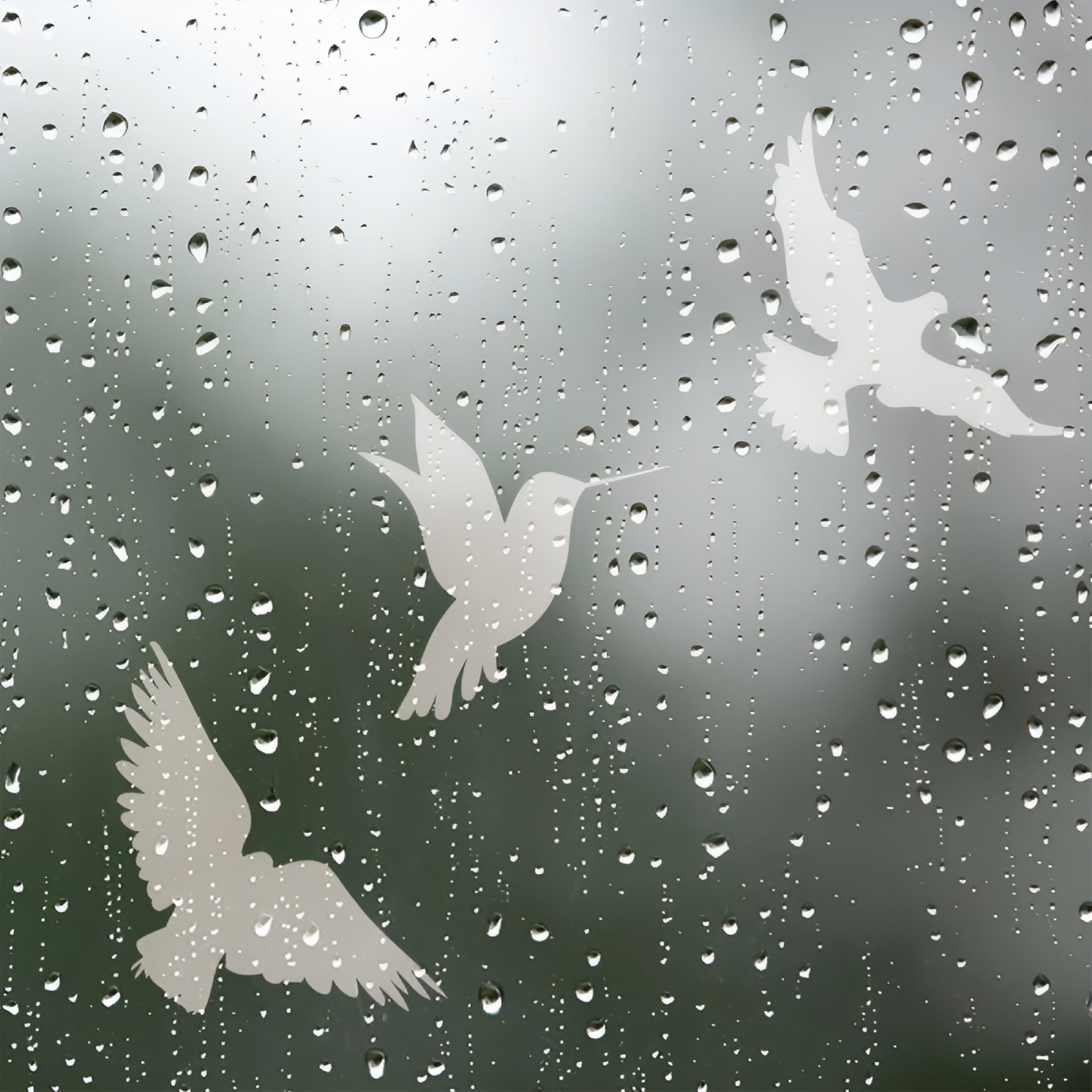 LAMIRO Anti-Collision Window Bird Stickers Decals Glass Door Protect ...