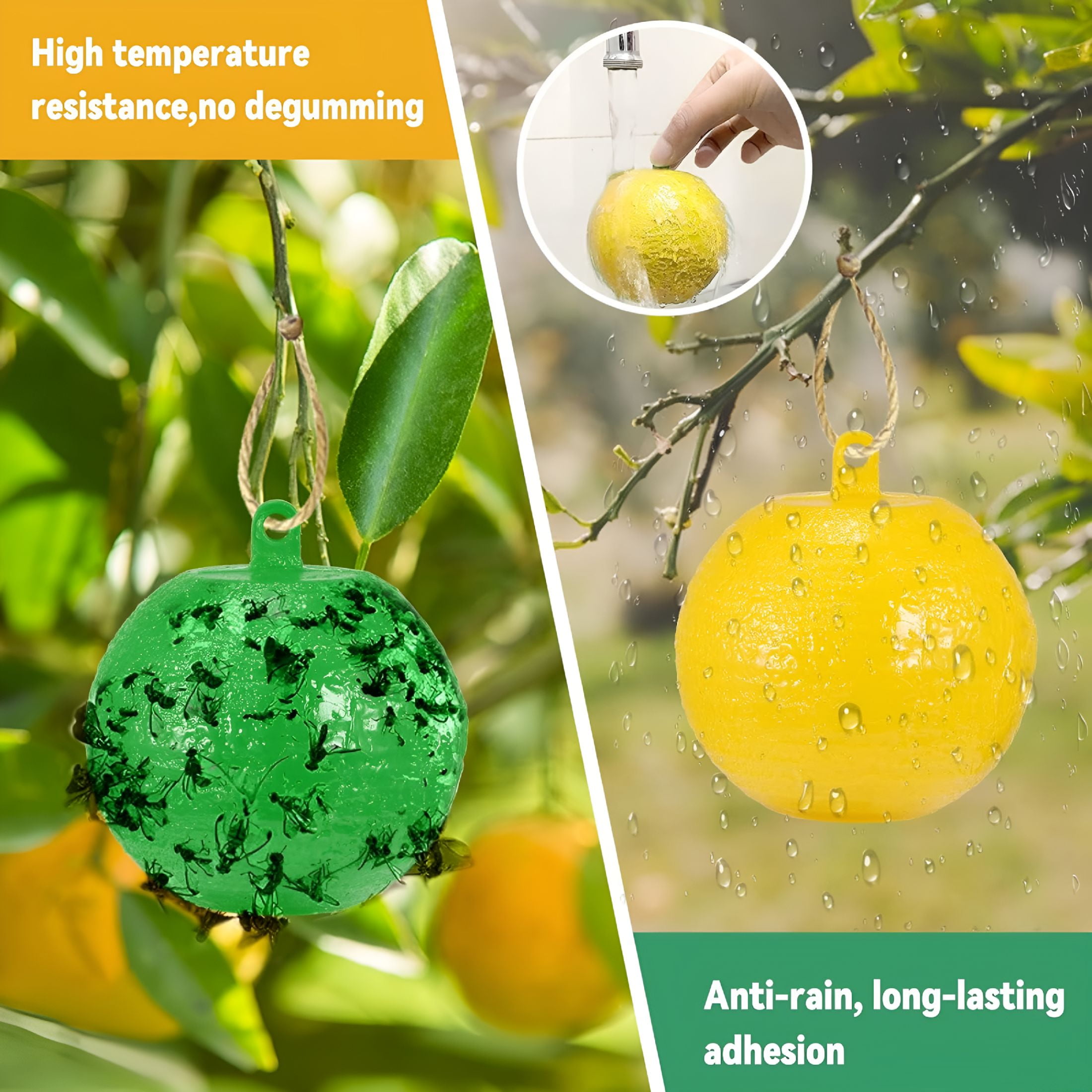LAMIRO Fruit Fly Traps Sticky Traps Ball,Gnat Traps Flying Insects ...