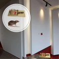 LAMIRO Indoor Wooden Mouse Traps,Classic Mice Rat Rodent Catch Trap - 6 ...
