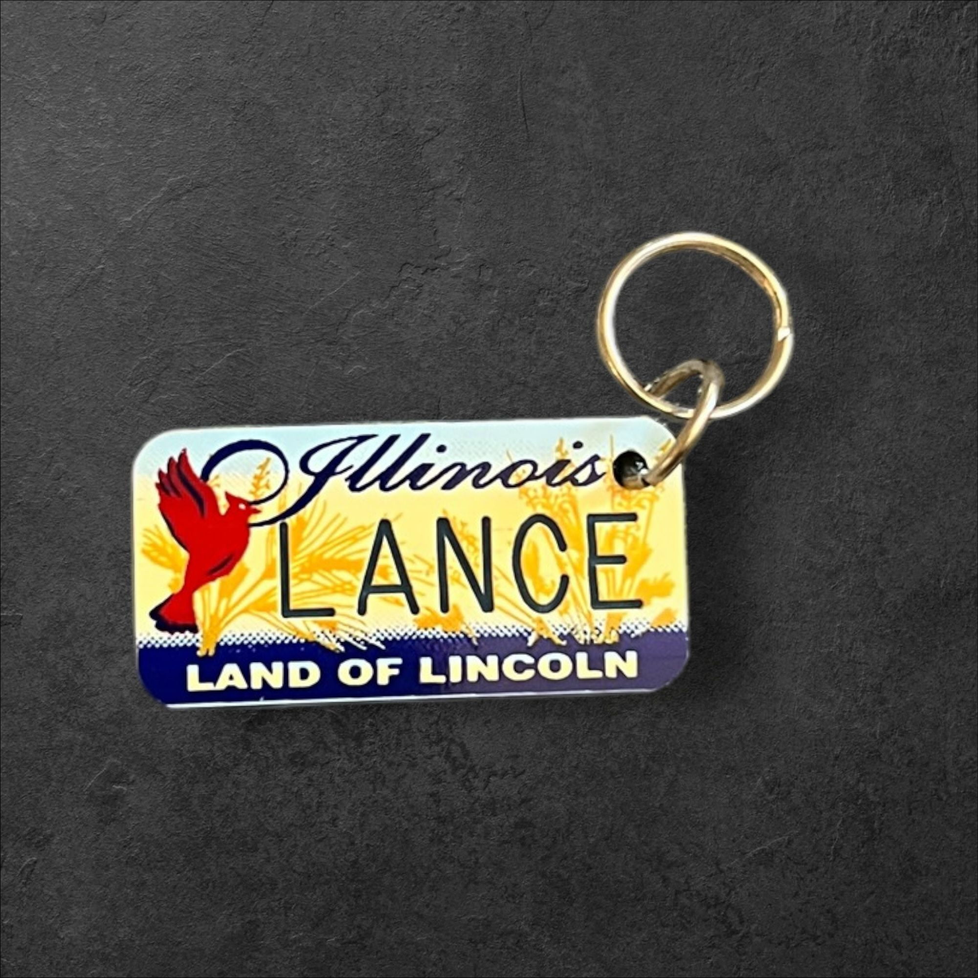 LANCE Name Keychain License Plate Illinois Land of Lincoln Great Gift 2 ...