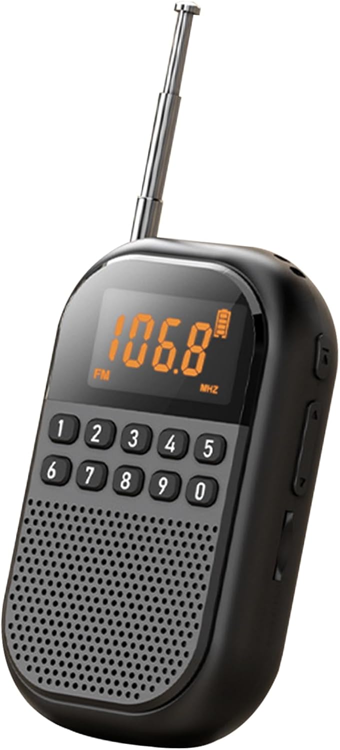 LANFENG AM FM Portable Radio with Bluetooth Speaker AM FM Pocket Radio ...