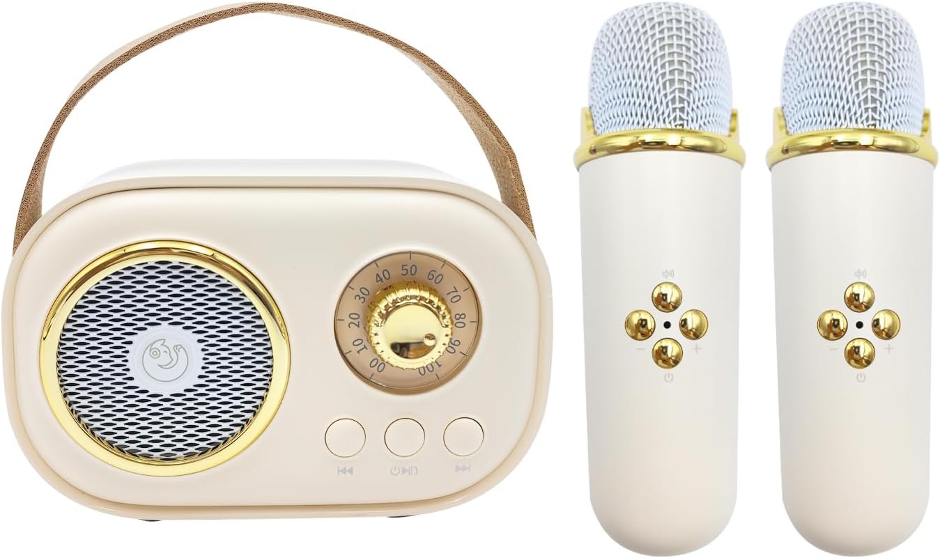 LANFENG Mini Karaoke Machine for Portable Bluetooth Speaker with 2 ...