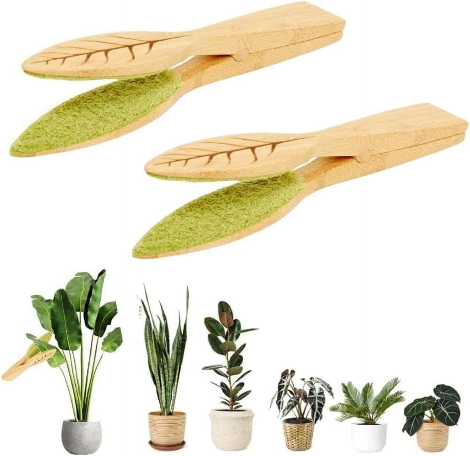 LANFENG Plant Leaf Cleaning Tool Brush with Wood Handle - Leaf-Shaped ...