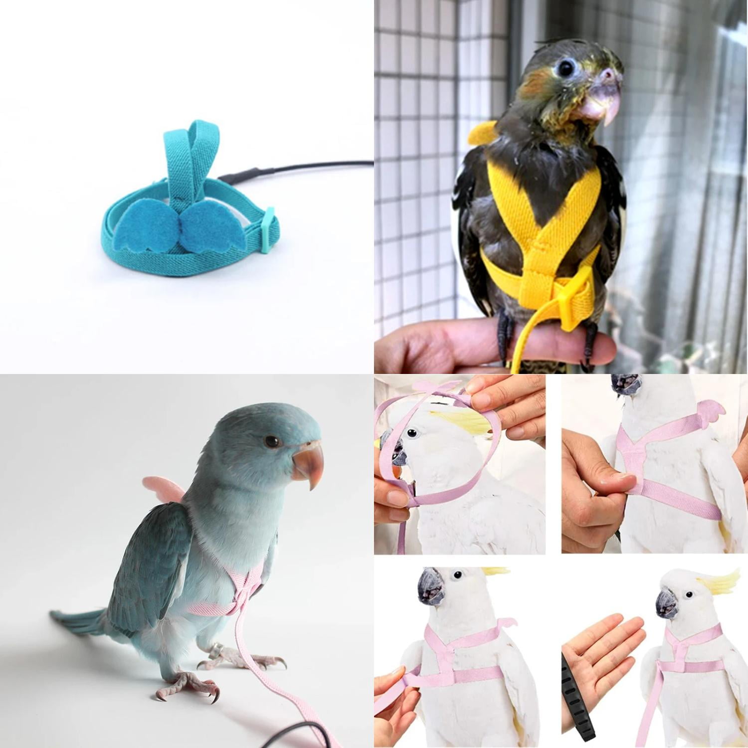 LANHSM Durable Interactive Bird Toy Set - Perfect Addition for Hours of ...