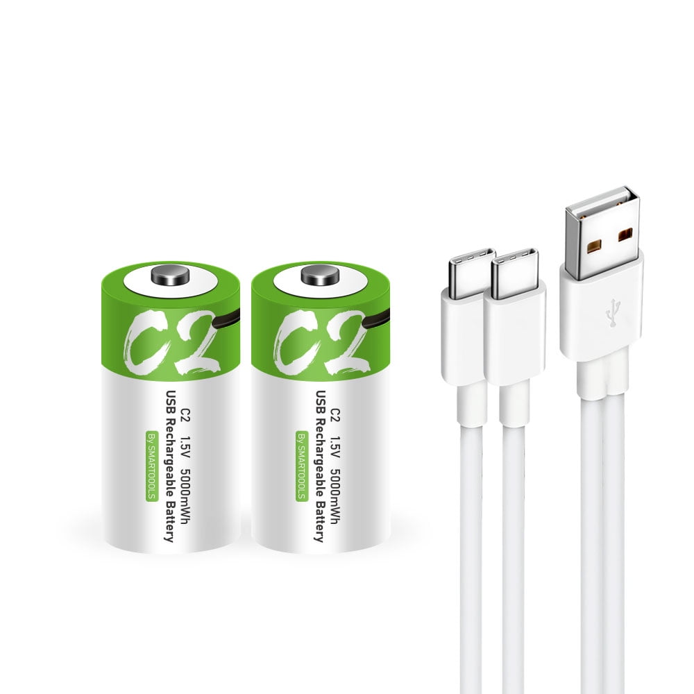 LANKOO USB C Lithium Ion Rechargeable C Battery Fast Charge with Type C ...