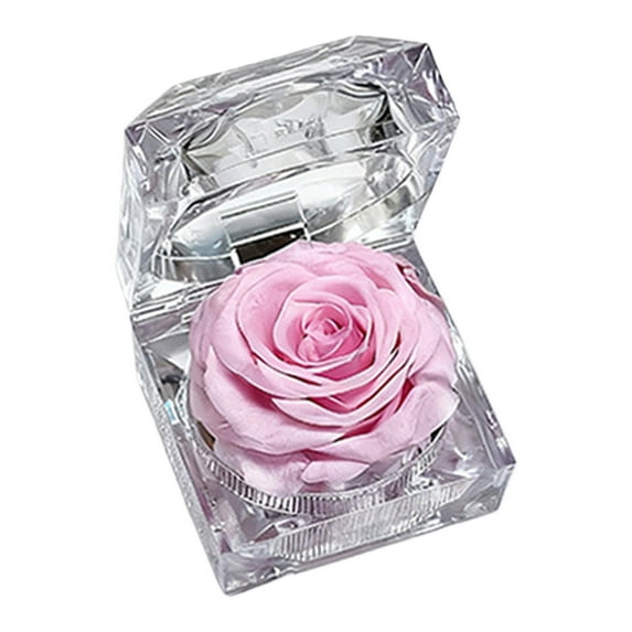 LANpengDZ Preserved Flower Rose Box Decorative Jewelry Box Preserved ...