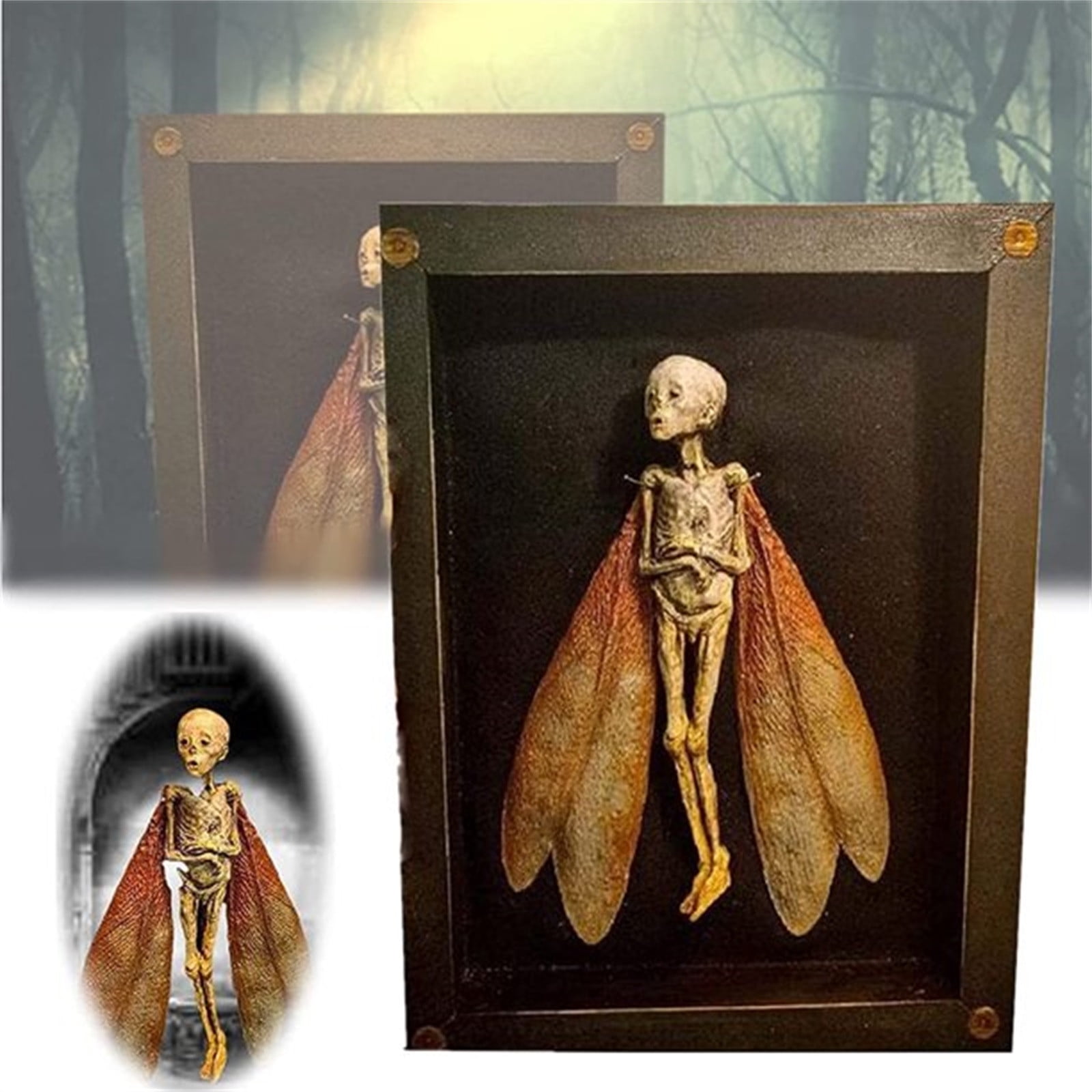 LAOSR Cursed Items Dead Shadow Box Display Handmade Creepy Mummified ...