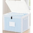 LAPTOM MAX 1-Pack Plastic File Box with Lid, Letter-Size Hanging File ...