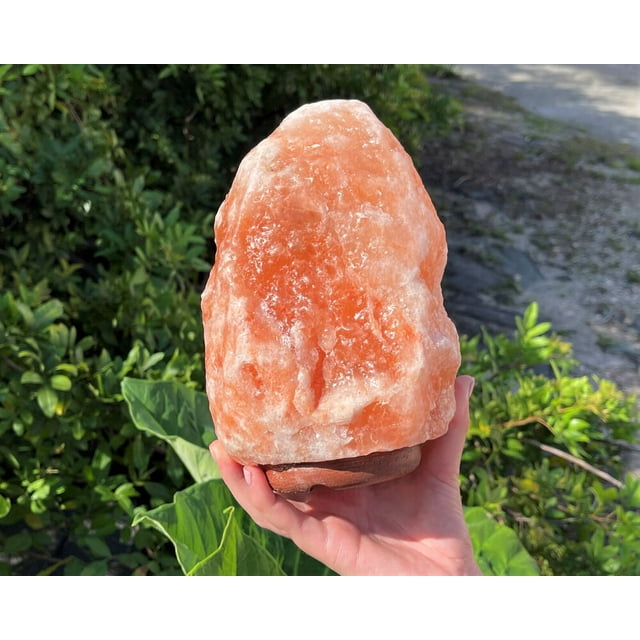 LARGE Natural Himalayan Salt Lamp, 8" Salt Rock Lamp + Chord/Bulb ...