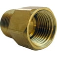 LASCO 17-8549 1/2-Inch Female Pipe Thread by 1/2-Inch Male Pipe Thread ...