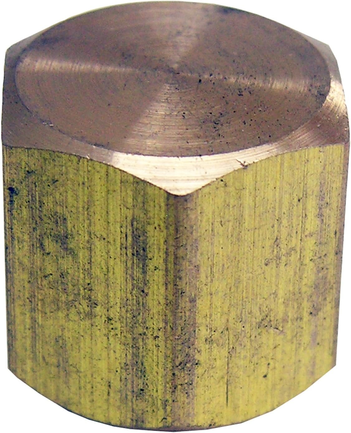 LASCO 17-9143 1/8-Inch Female Pipe Thread Brass Cap - Walmart.com