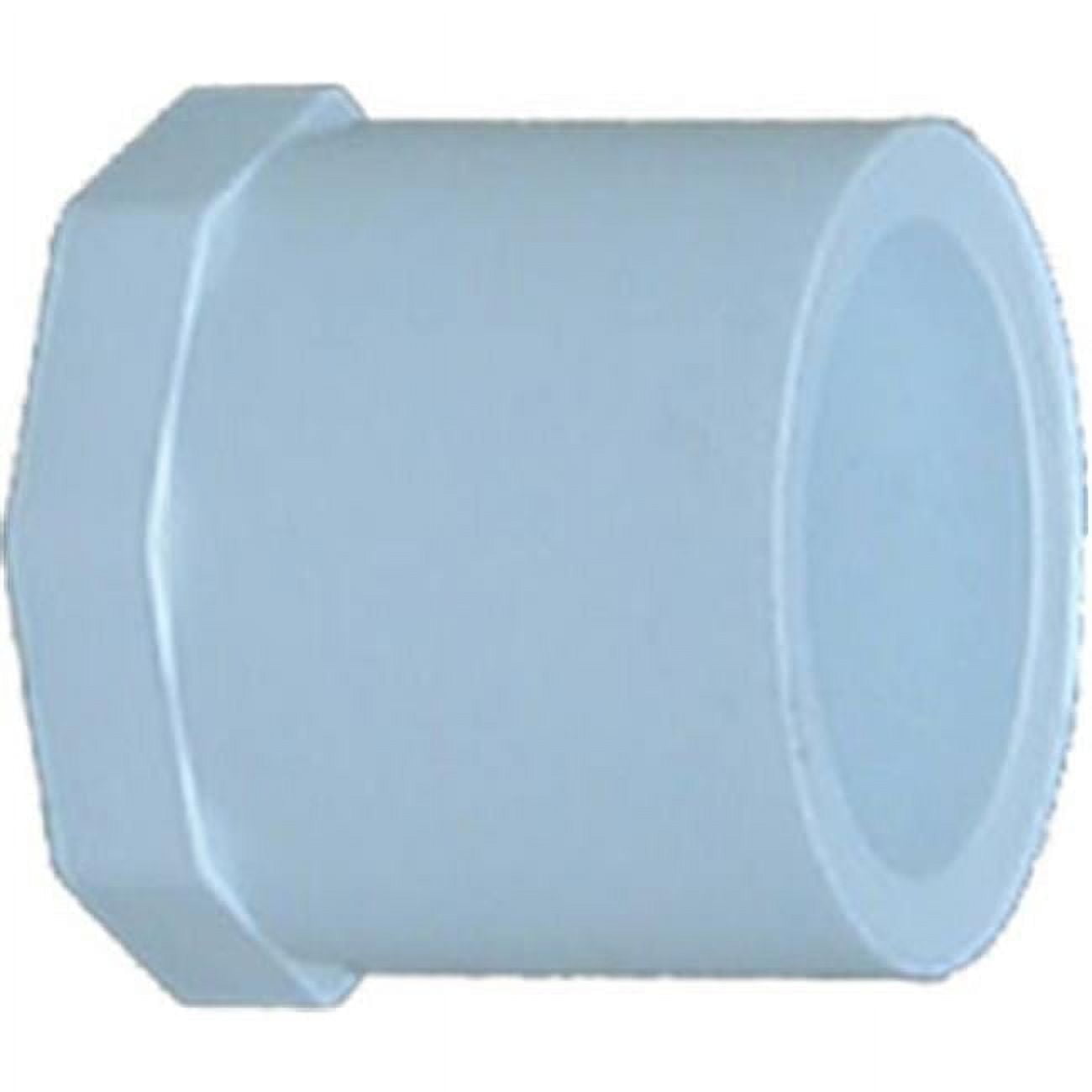 LASCO 449015BC Pipe Plug, 1-1/2 in, Spigot, PVC, White, SCH 40 Schedule ...