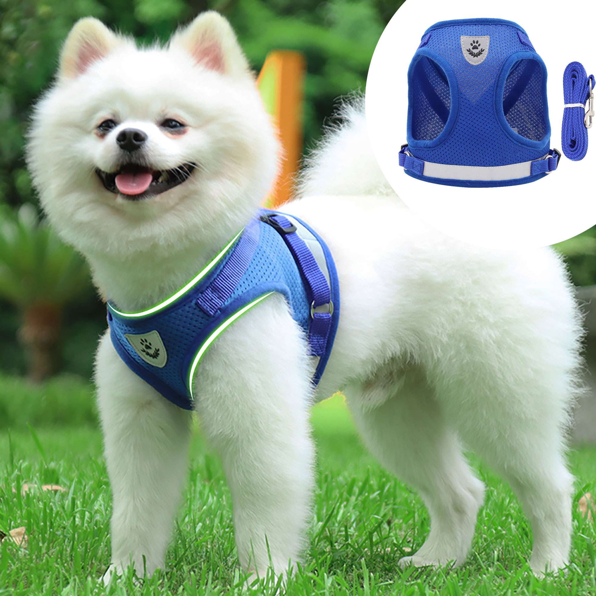 LAVA No Pull Dog Harness and Leash Set, No Choke Breathable Mesh Dog ...