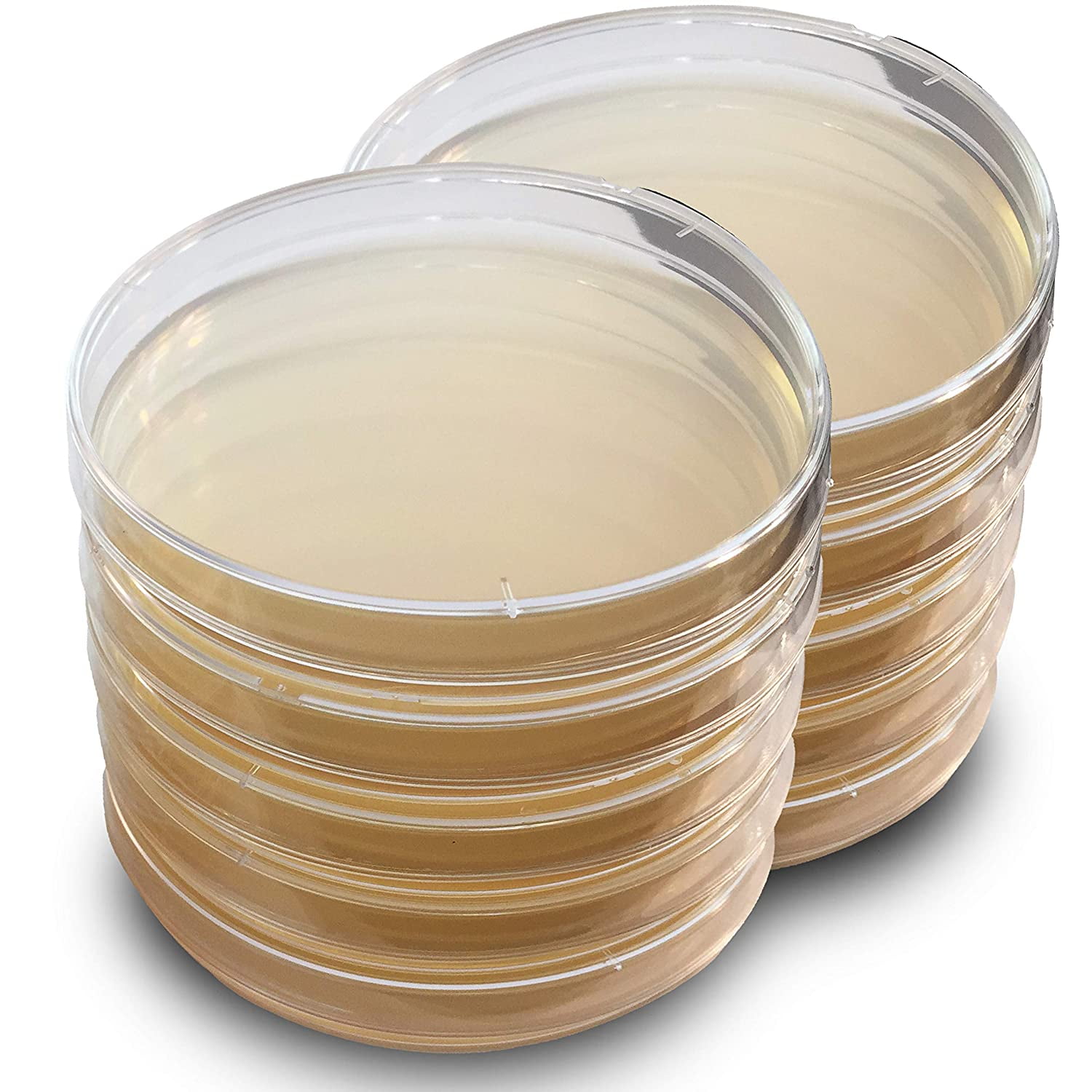 LB Agar - Evviva Sciences - Prepoured Luria-Bertani Agar (LB) Petri ...