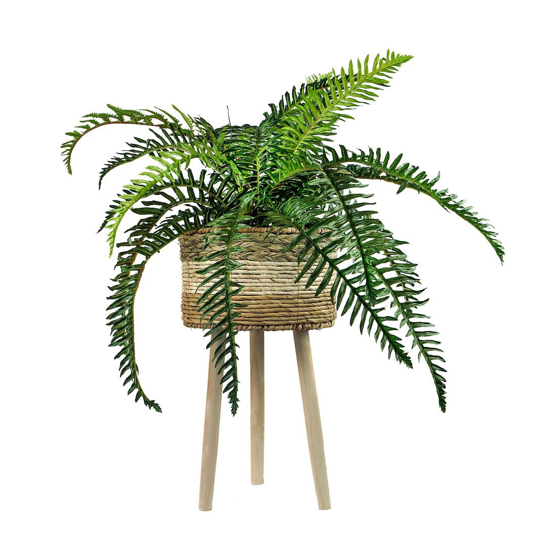 LCG Florals 38" Artificial Trailing River Fern in Tri-Color Tripod ...