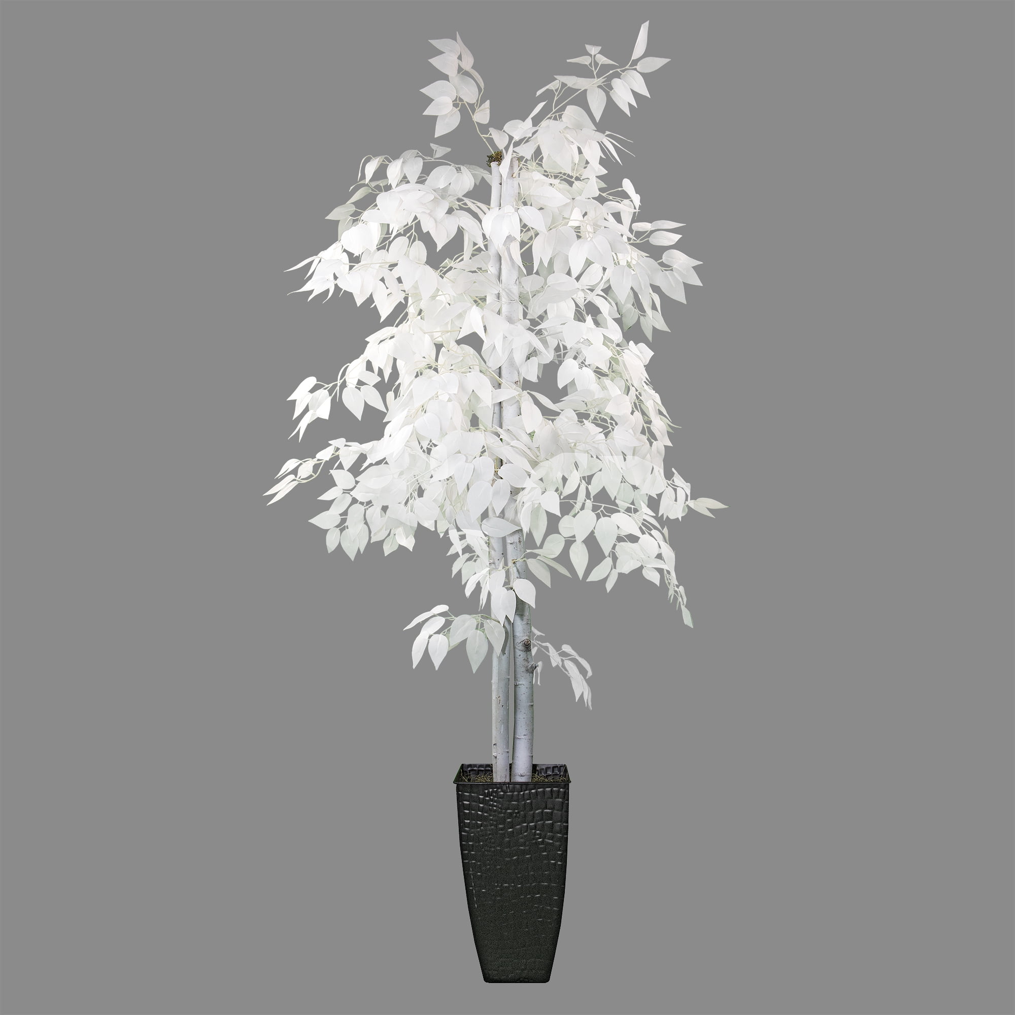 LCG Florals 72" Tall Artificial Designer White Ficus Tree in Black ...