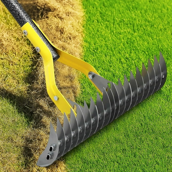 LCOKEIY Efficient Thatch Rake 15" Double-Sided Tines with 72" Metal ...
