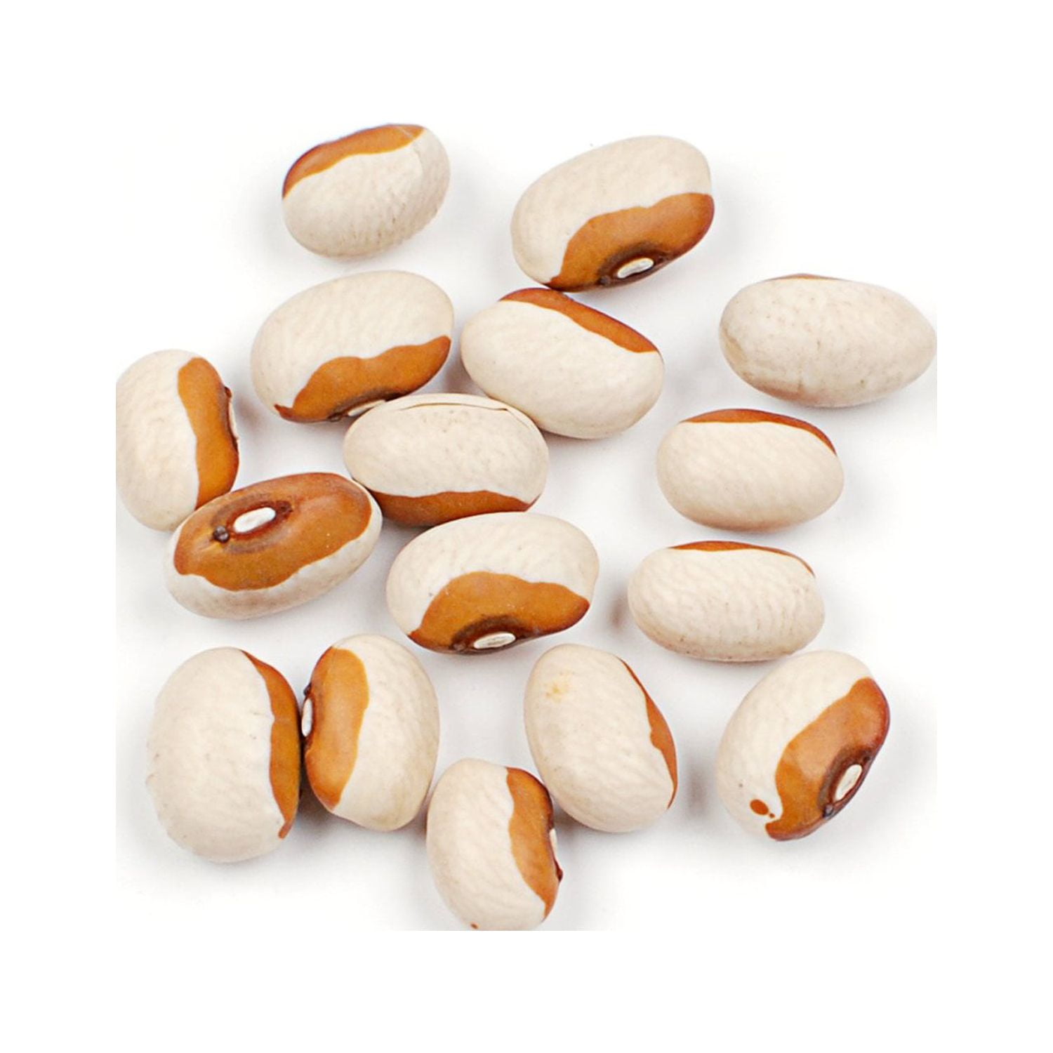 LDHF American Yellow Eye Steuben Beans - 10 lb Bulk Pack, Creamy ...