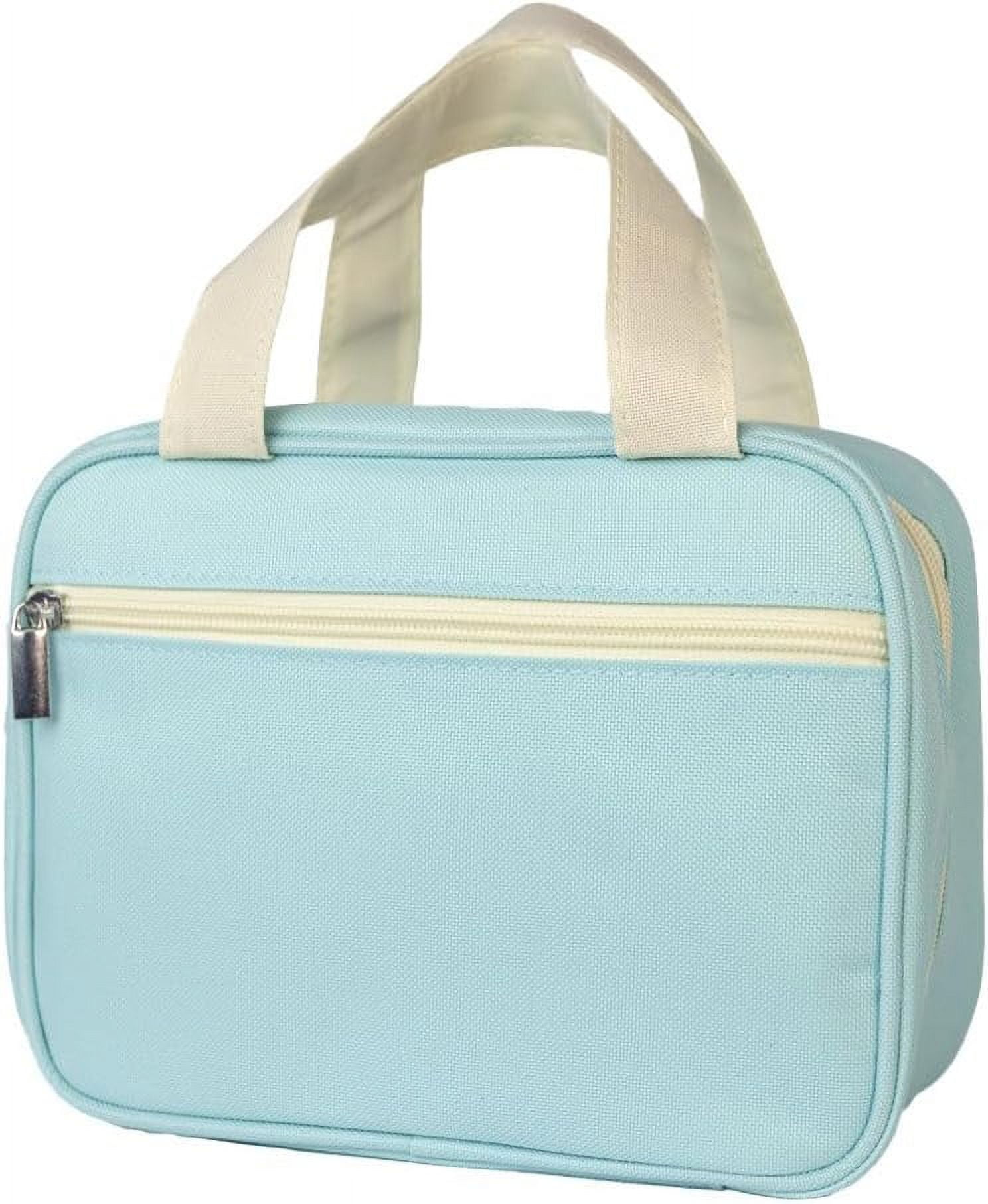 LDS Quad or Triple & Bible Scripture Carrying Case - Light Blue with ...