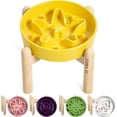 LE TAUCI Ceramic Slow Feeder Dog Bowls Small Breed, 0.6 Cups Dog Food ...