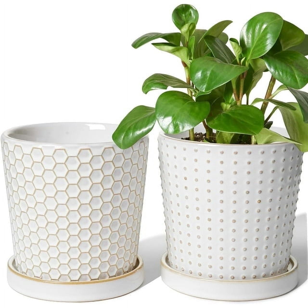 LE TAUCI Reactive Glaze Ceramic Plant Pots, Decorative Embossed, 5.4 ...