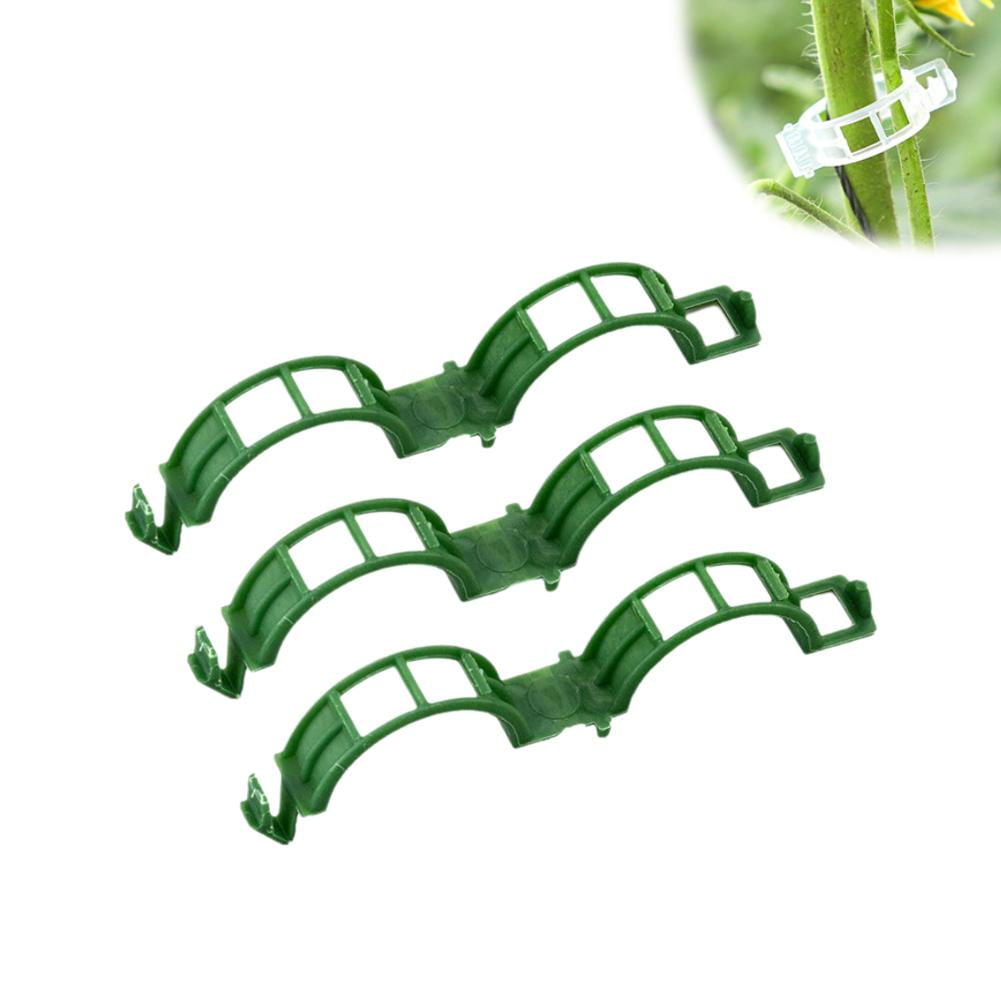 LEARNEV Secured Plastic Plants Clip, Plant Fixing Clips for Climbing ...