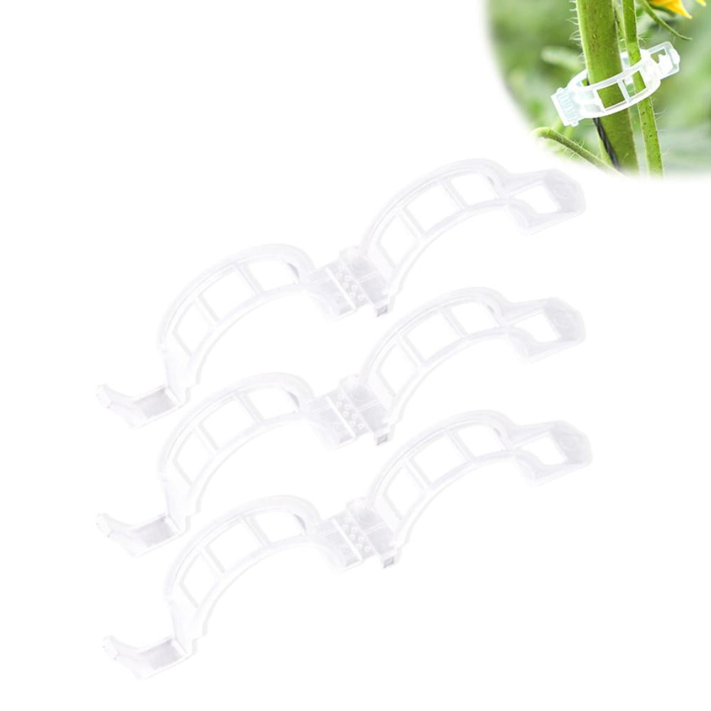 LEARNEV Secured Plastic Plants Clip, Plant Fixing Clips for Climbing ...