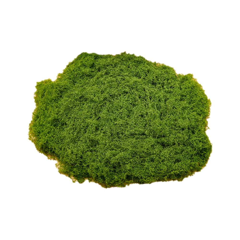 LEARNEVER Artificial Plant Moss 100g Garden Micr.o Landscape Craft Home ...