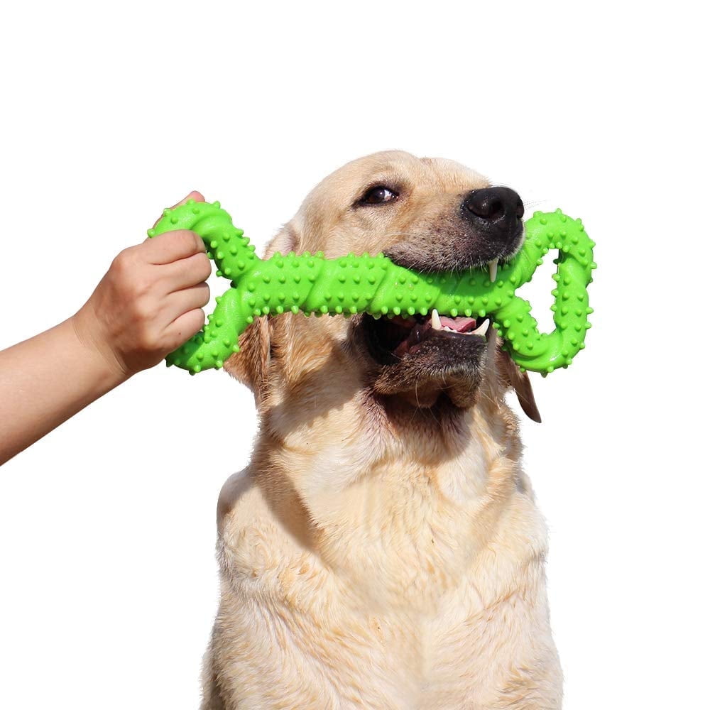 LECHONG Durable Dog Chew Toy, Extra Large Green Bone Shape, TPR, 13 ...
