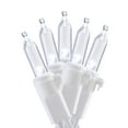 Indoor/Outdoor 50-Count LED Mini Christmas String Lights, Cool White ...