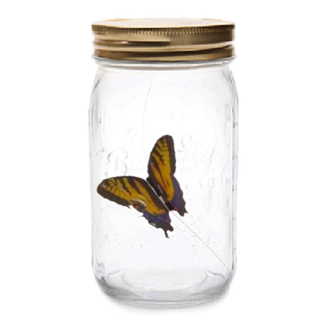 LED Animated Butterfly In A Jar Fluttering Amazing Collection Battery ...