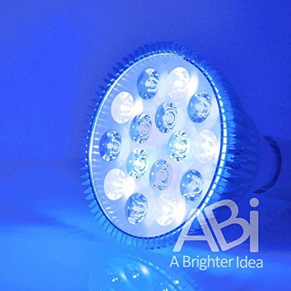LED Aquarium Light Bulb, 23W Blue and White PAR38 - Walmart.com