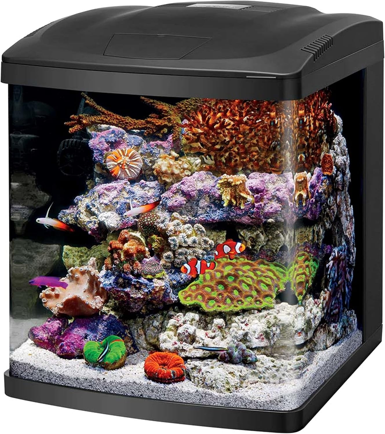 LED BioCube Aquarium Fish Tank Kit for Saltwater, Marine, Reef or Live ...