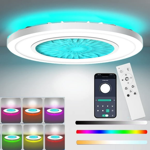 Remote Controlled Ceiling Light Fixture