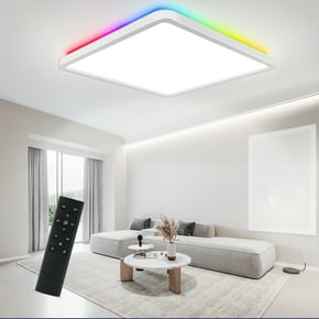 Remote Controlled Ceiling Light Fixture