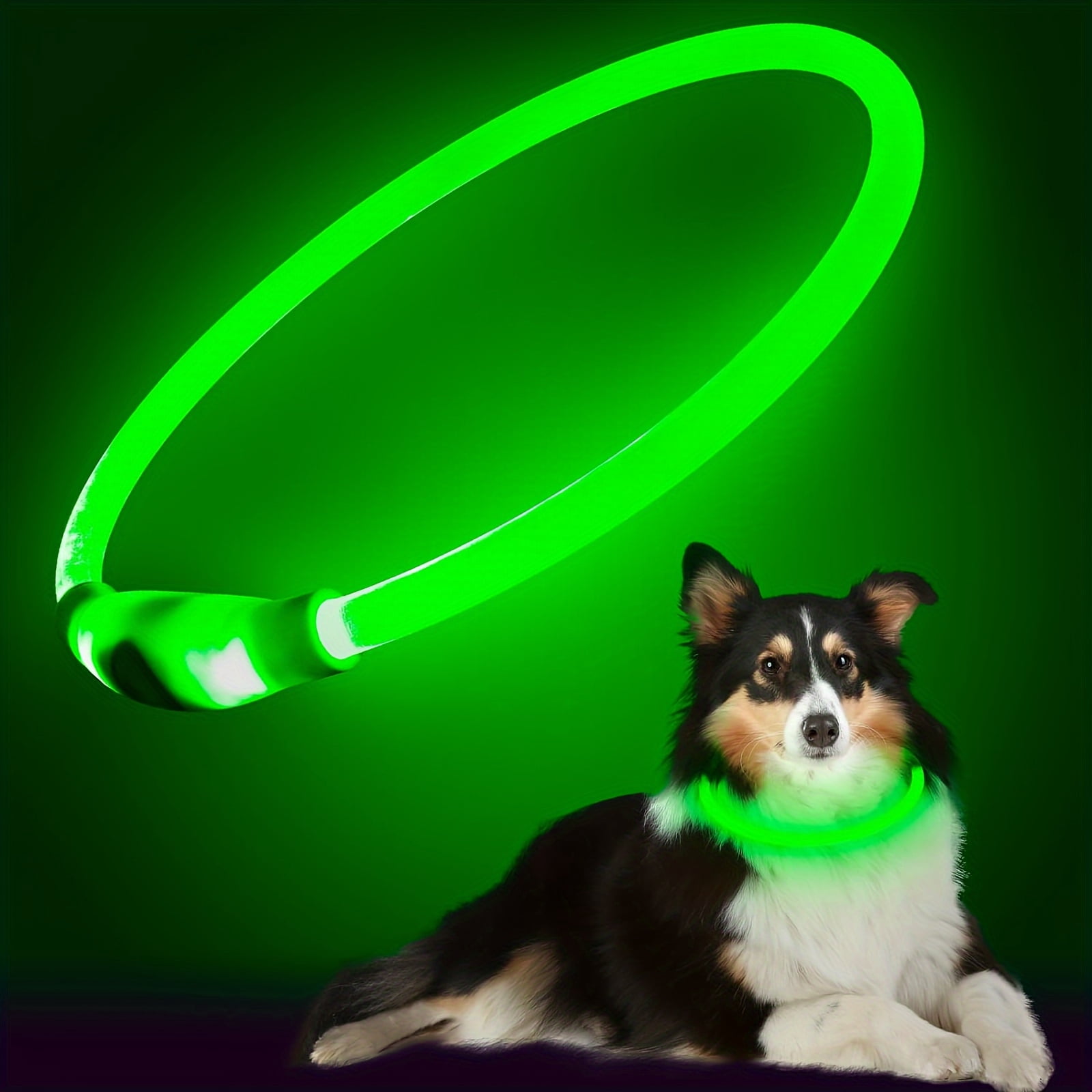 LED Dog Collar, Adjustable Light-Up Safety Pet Necklace, USB ...